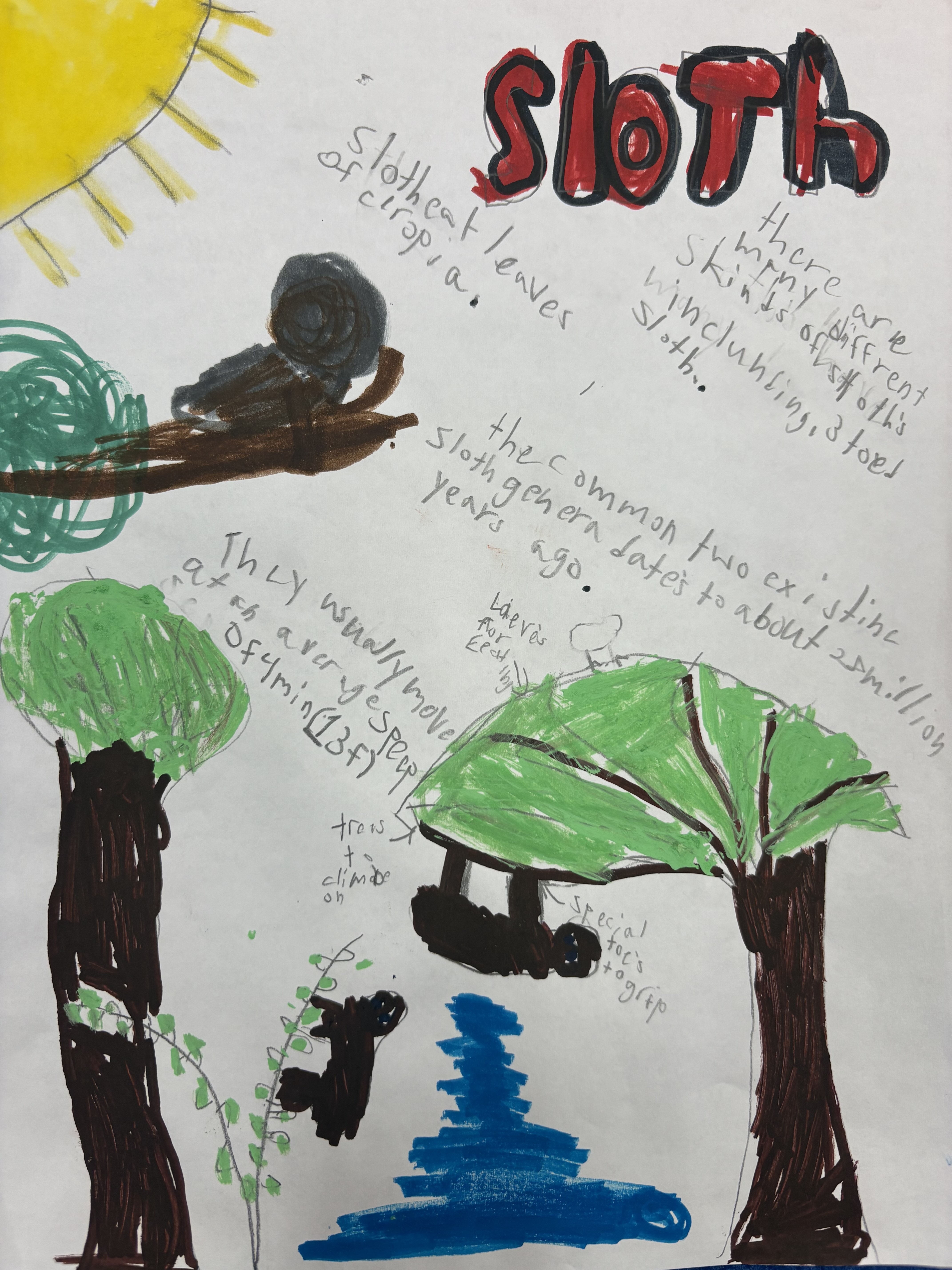 Future Engineers :: Future Creatures Challenge :: Gallery :: Sloth