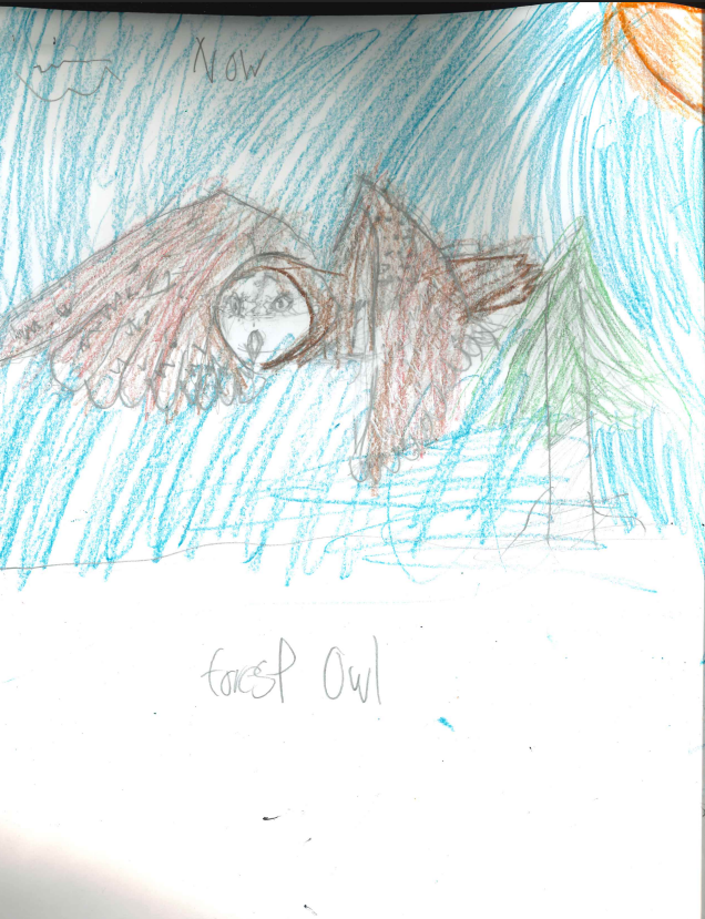 Future Engineers :: Future Creatures Challenge :: Gallery :: Forest Owl