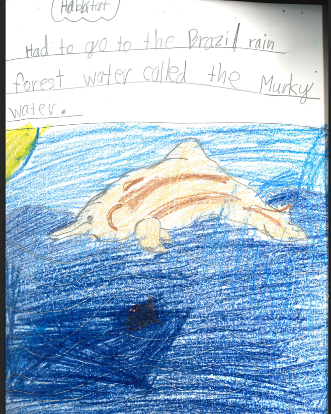 Future Engineers :: Future Creatures Challenge :: Gallery :: Pink River ...