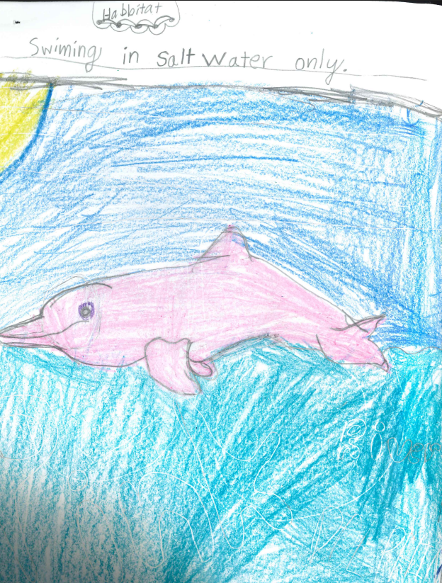 Future Engineers :: Future Creatures Challenge :: Gallery :: Pink River ...