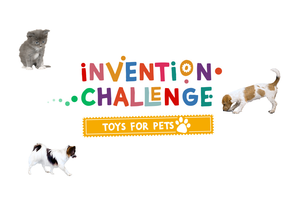 Future Engineers :: Invention Challenge - Toys For Pets! Challenge
