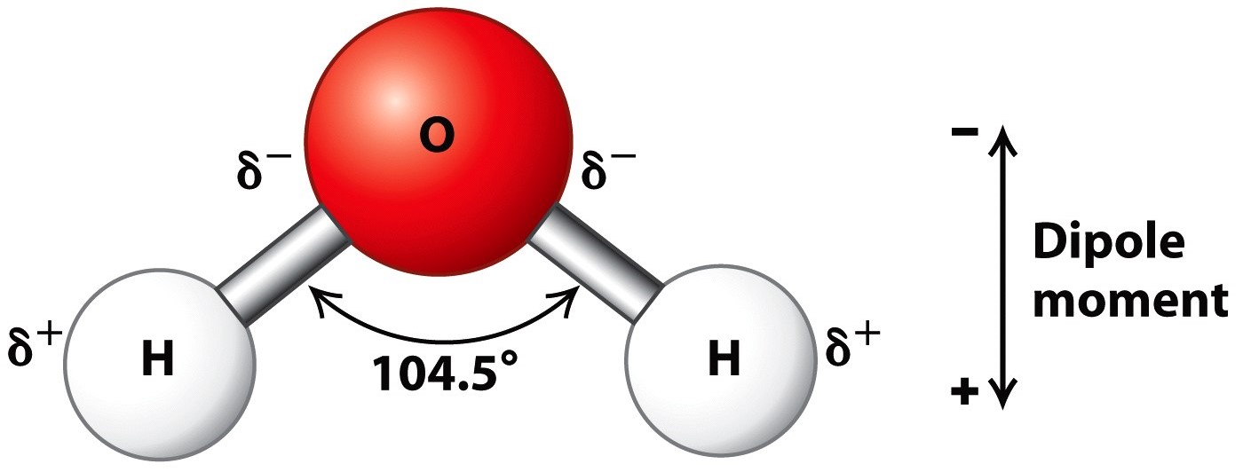 Future Engineers Name That Molecule Challenge Gallery Water